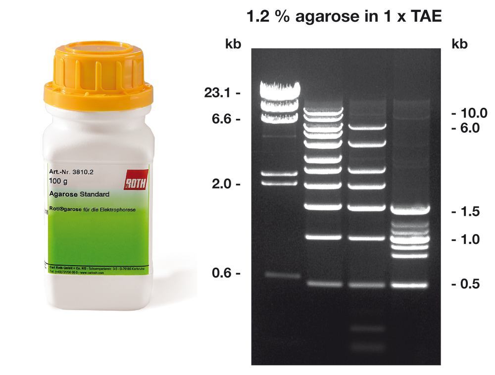 Agarose, DNAse-free, RNase-free – Pure Science Ltd