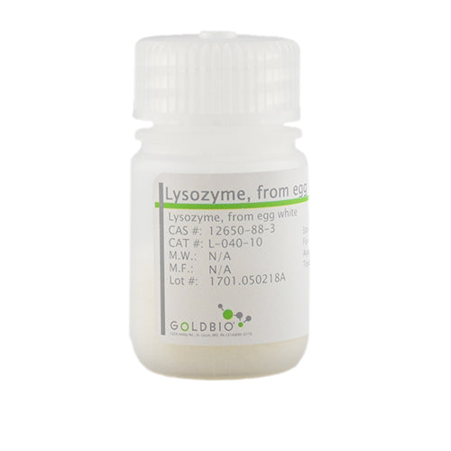 Lysozyme, Egg White, Molecular Biology grade – Pure Science Ltd